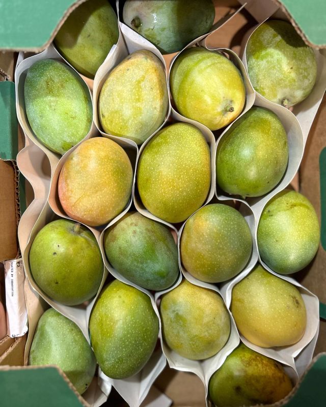 Contact Us – Graces Marketplace